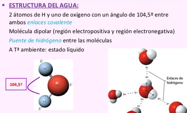 Estructura del agua | Ciencias Naturales Online